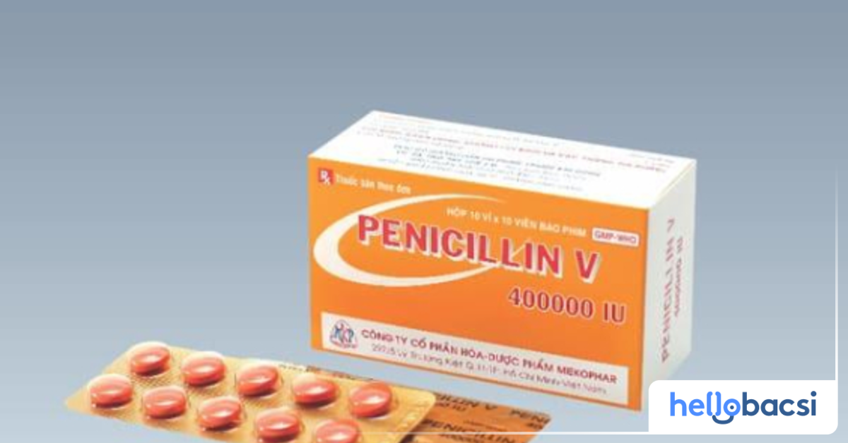 Công dụng và nguồn gốc sản xuất của thuốc kháng sinh penicillin từ nấm nào
