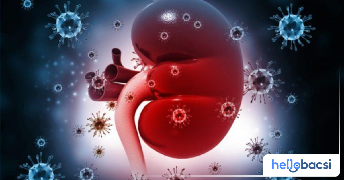 Dấu hiệu nhiễm trùng thận là gì? Bệnh có chữa được không? • Hello Bacsi