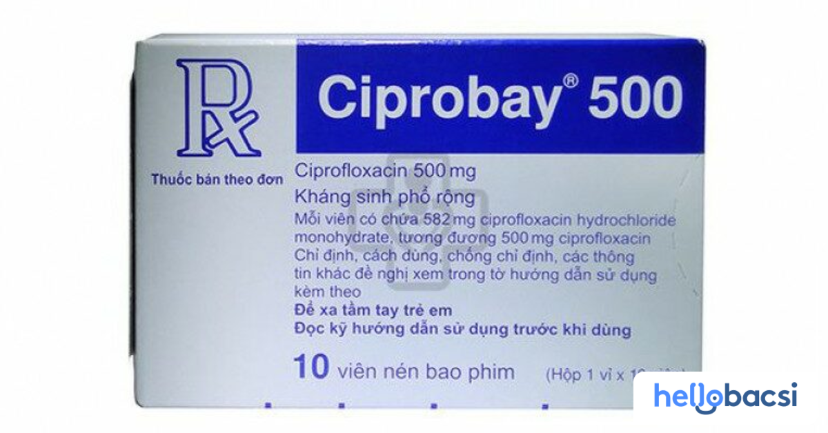 Ciprobay® là thuốc gì? Công dụng & liều dùng Hello Bacsi